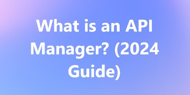 What is an API Manager? (2024 Guide)